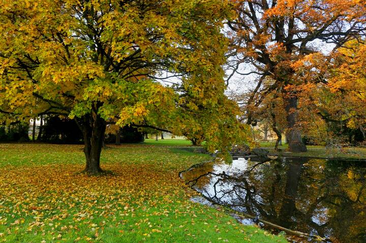 Осенний парк | Фотосайт СуперСнимки.Ру